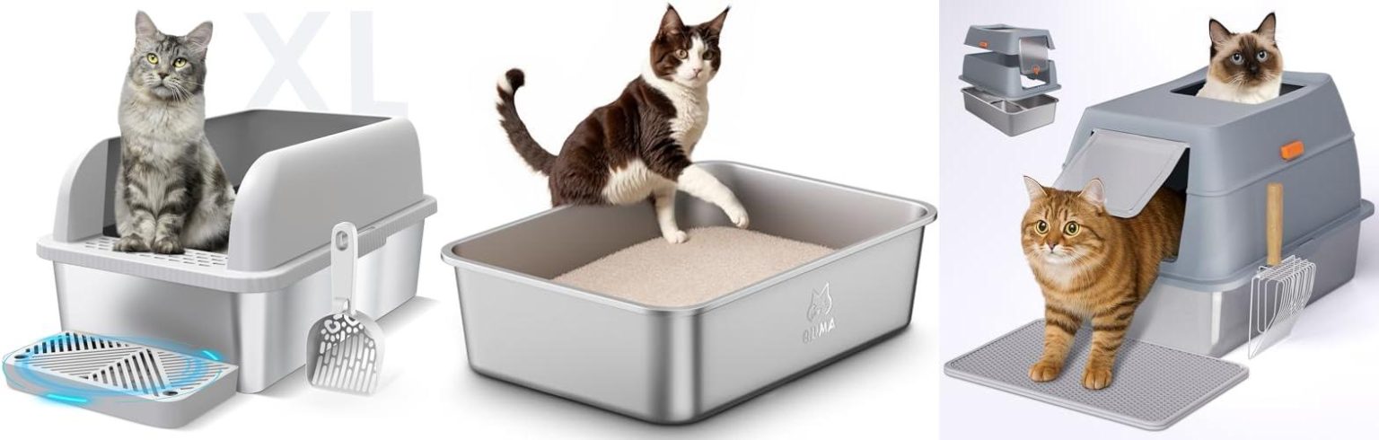 Top 5 Stainless Steel Cat Litter Boxes: Reviews & Buyer's Guide