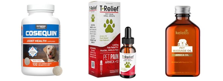 Top 5 Dog Arthritis Treatments: A Veterinarian's Review & Guide