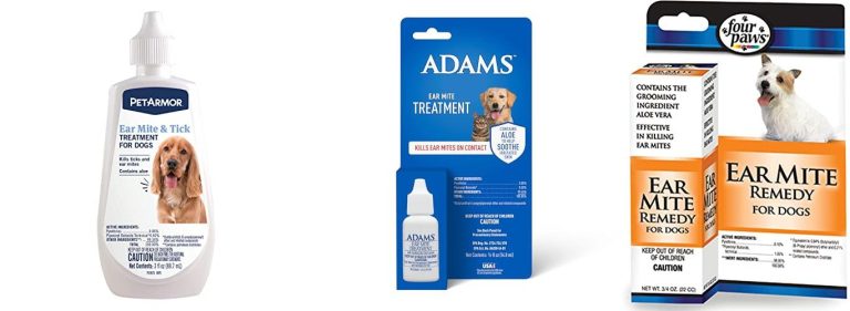 Top 5 Treatments for Dog Ear Mites: A Vet-Approved Guide