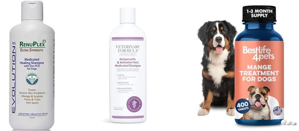 Top 5 Dog Mange Treatments: A Comprehensive Review & Guide