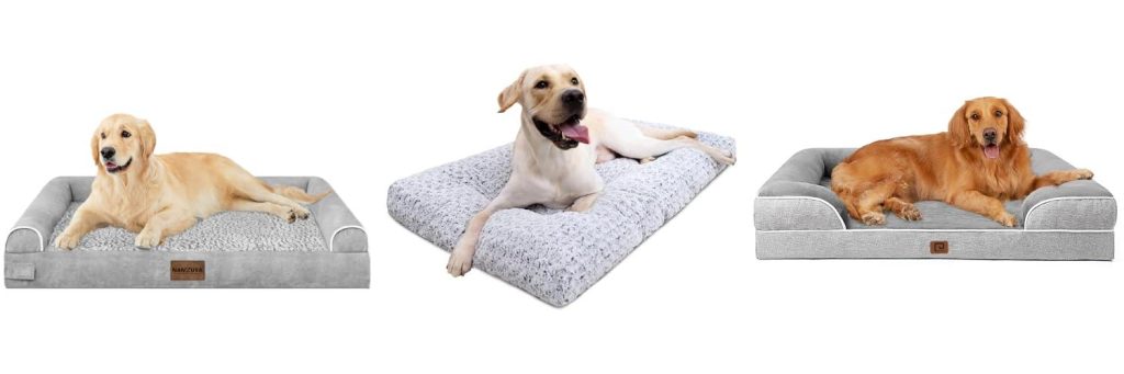 5 Best Washable Large Dog Beds: Ultimate Comfort & Easy Clean