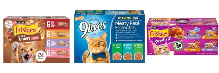 5 Best Wet Cat Food At Walmart: Reviews & Flavor Favorites