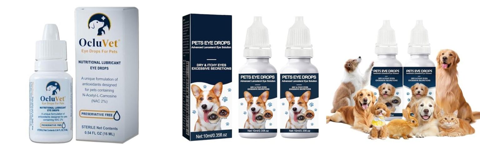 Best Dog Cataract Eye Drops - Top 5 Picks & Review