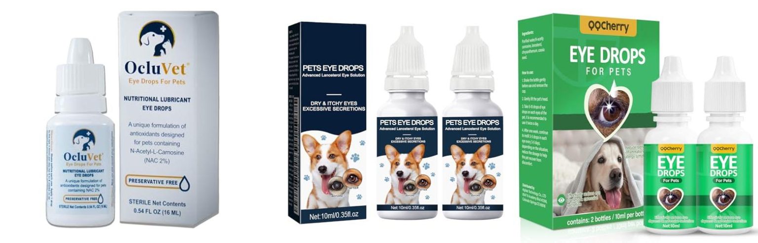 Top 5 Eye Drops for Dog Cataracts: Your Guide