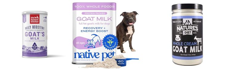 Top 5 Goat Milk For Dogs: Your Best Choice Guide