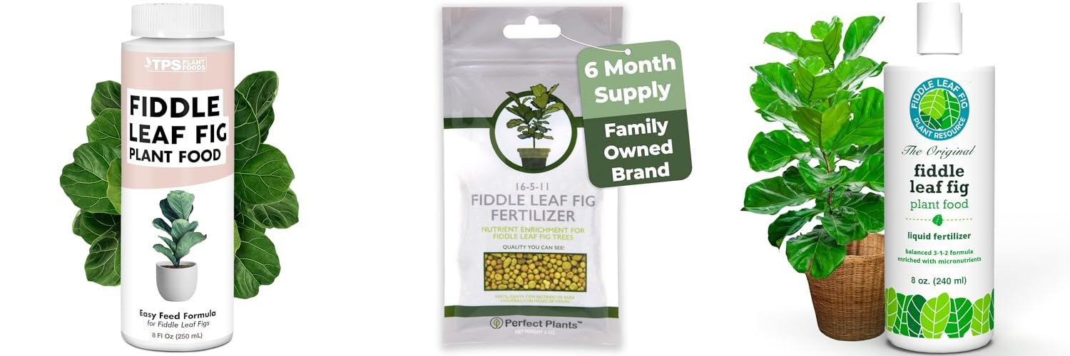 Top 5 Fiddle Leaf Fig Fertilizers: Expert Picks